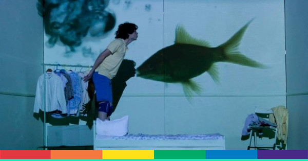 Bolzano: Casapound si scaglia contro lo spettacolo Fa'afafine e ...